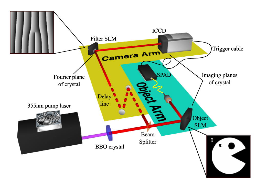 Heralded phase-contrast imaging using an orbital angular momentum phase ...