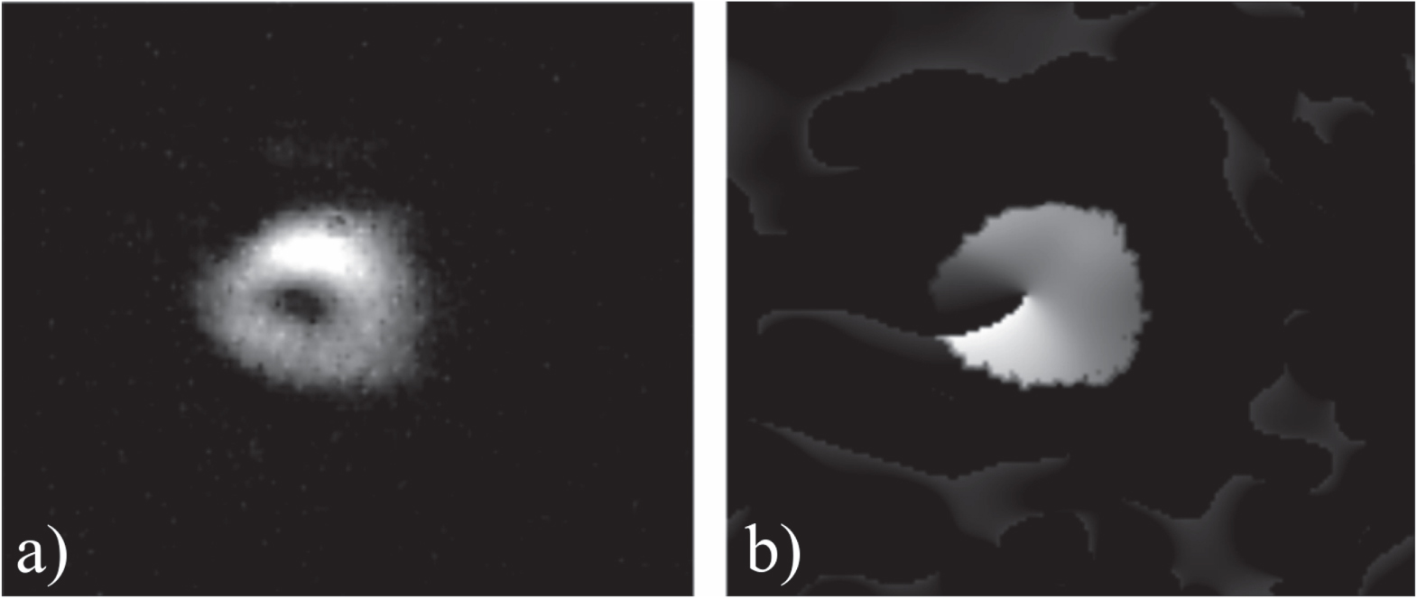 Topological solitons in optical oscillators - IOPscience