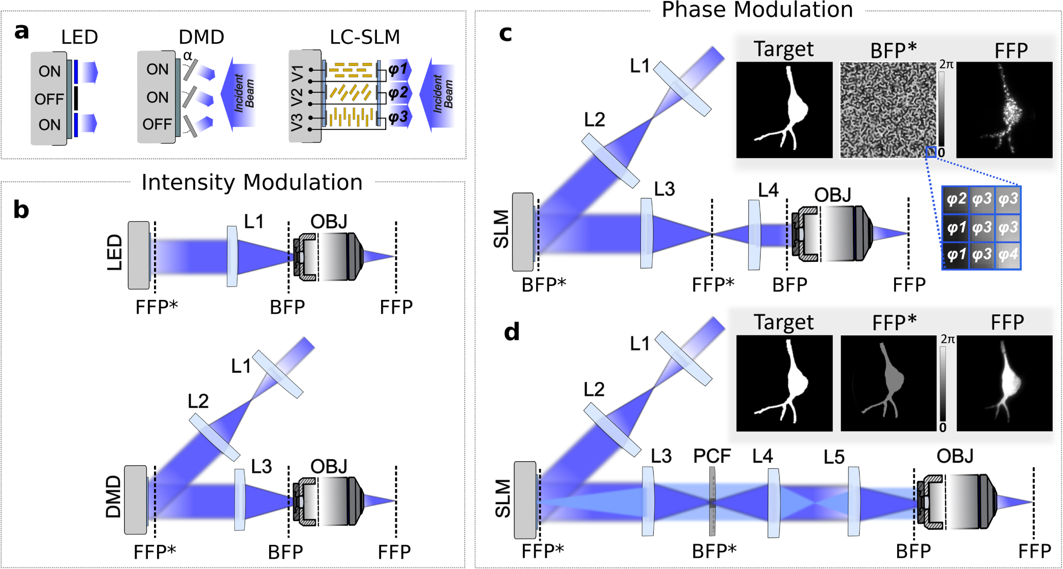 Recent advances in patterned photostimulation for optogenetics - IOPscience