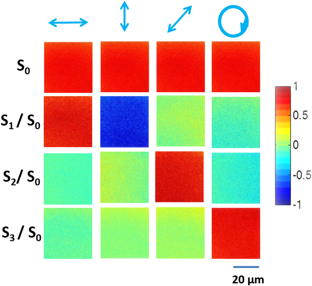 Mueller matrix signature in advanced fluorescence microscopy imaging ...