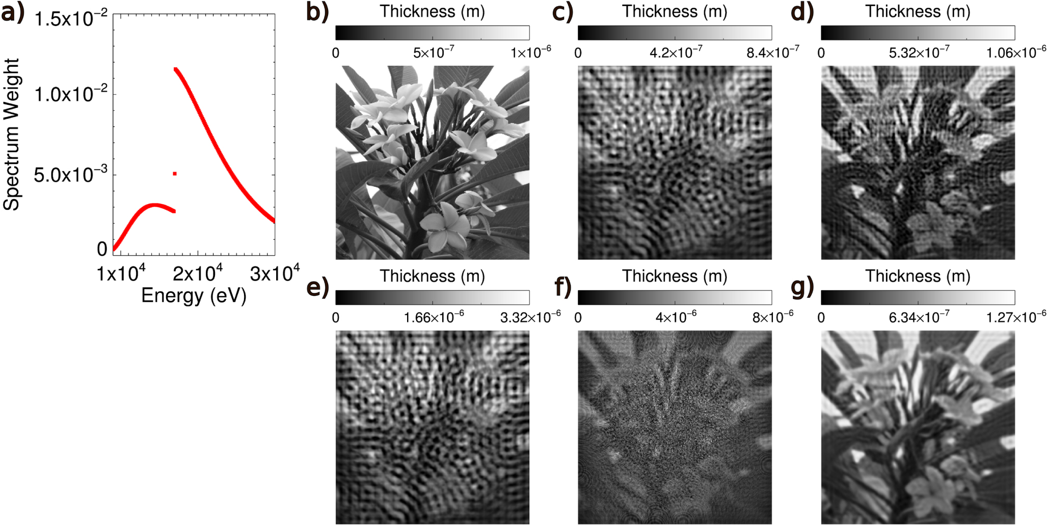 An iterative method for near-field Fresnel region polychromatic phase ...