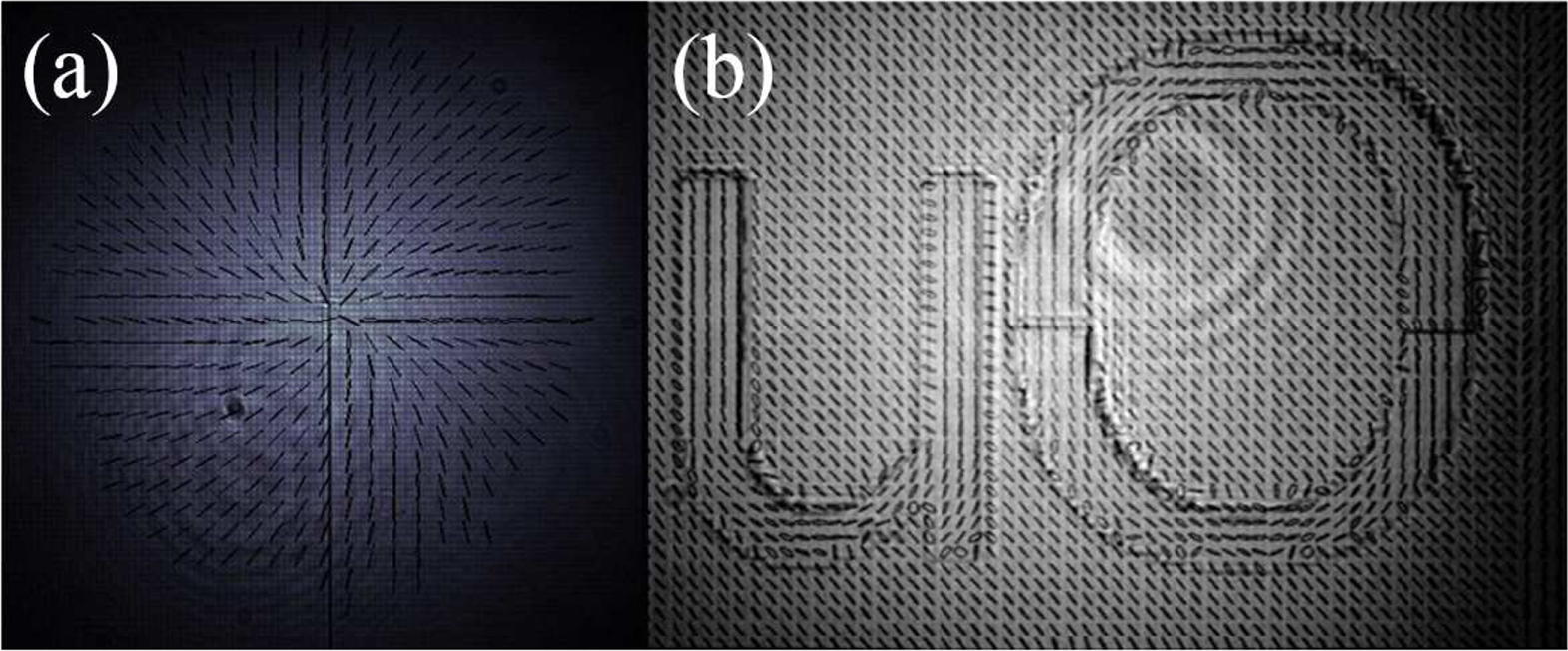 General lossless spatial polarization transformations - IOPscience