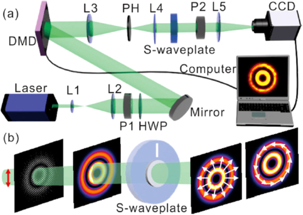 A review of complex vector light fields and their applications - IOPscience