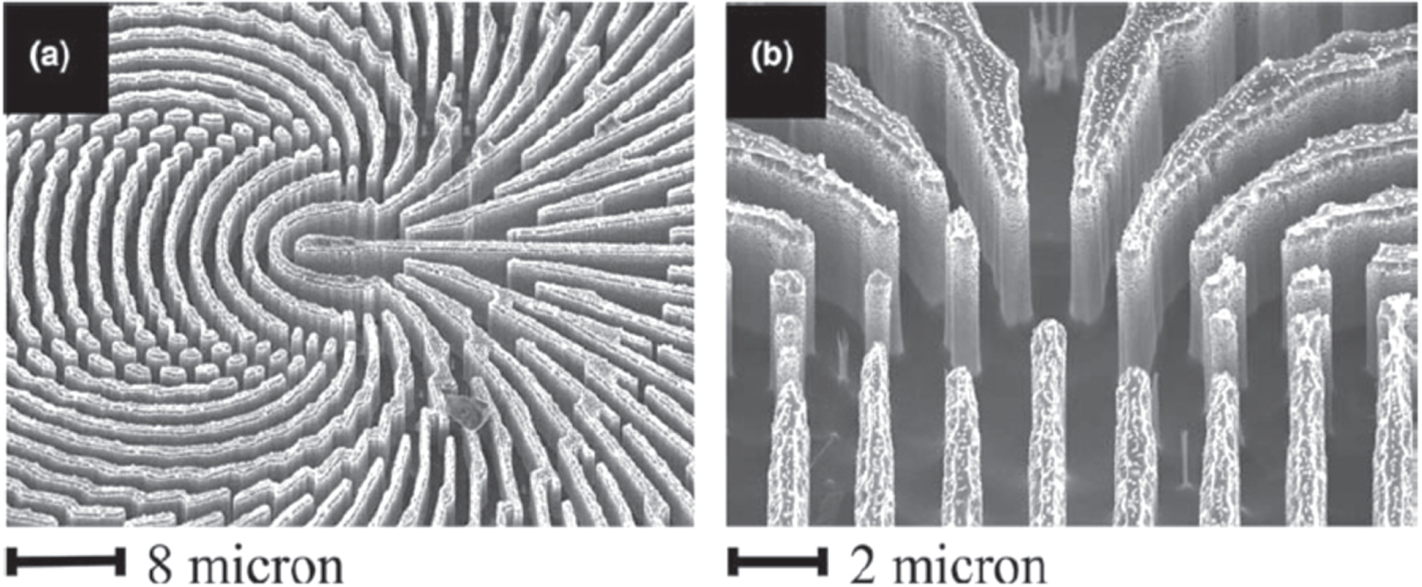 A review of complex vector light fields and their applications - IOPscience
