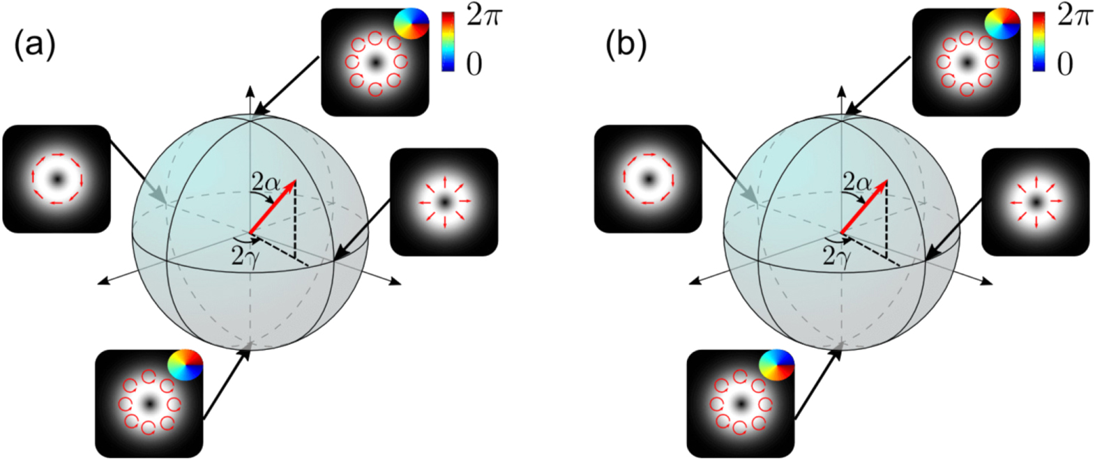 A review of complex vector light fields and their applications - IOPscience