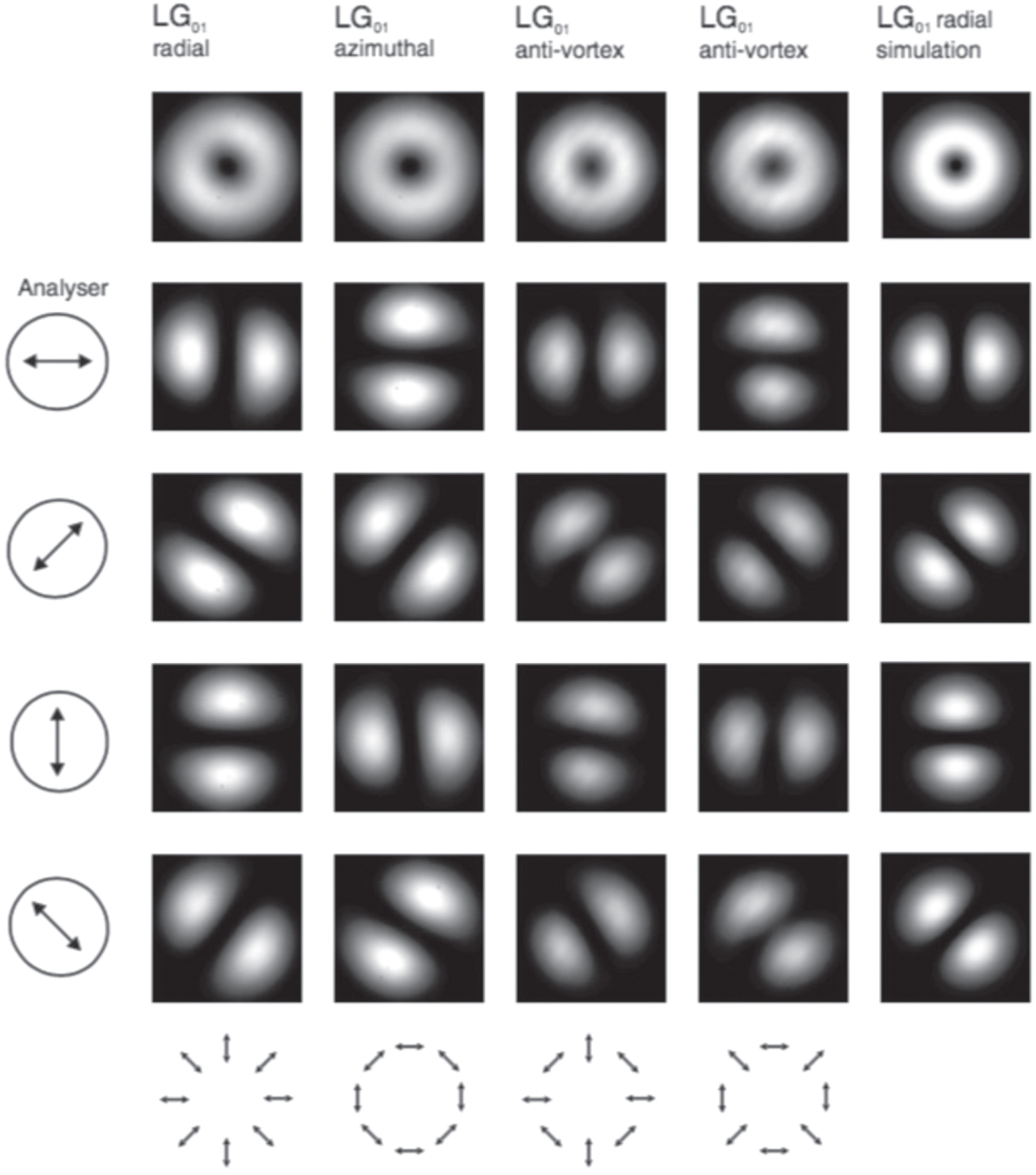 A review of complex vector light fields and their applications - IOPscience