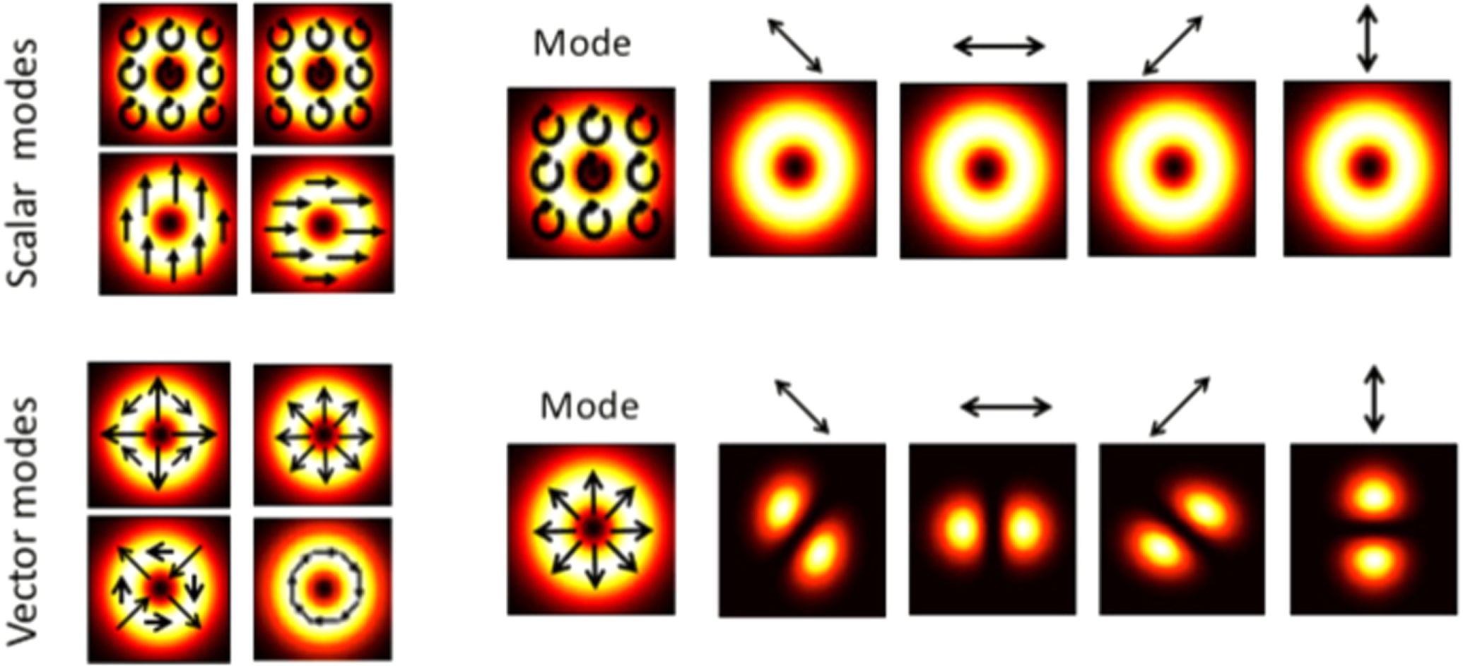 A review of complex vector light fields and their applications - IOPscience