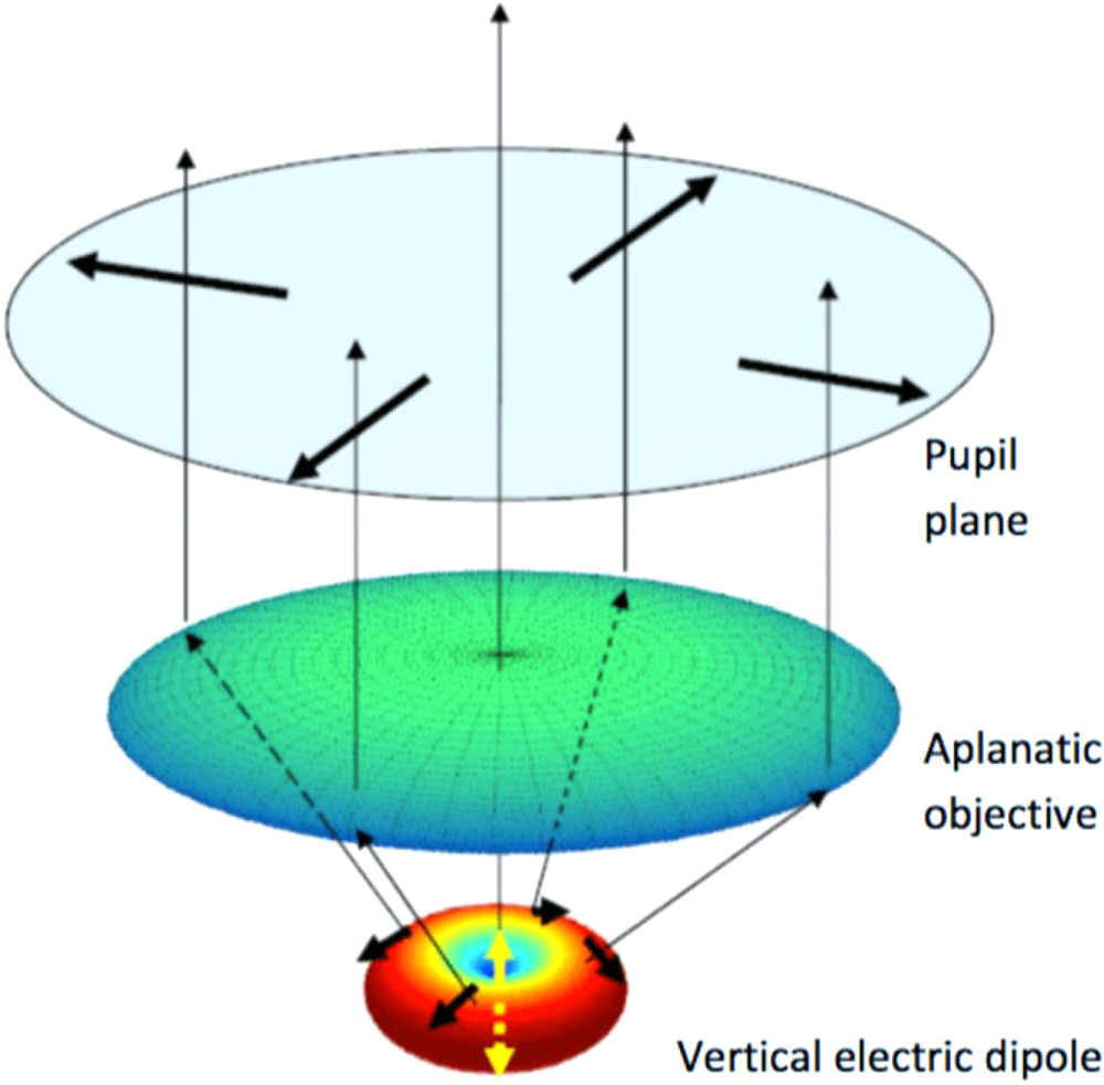 A review of complex vector light fields and their applications - IOPscience