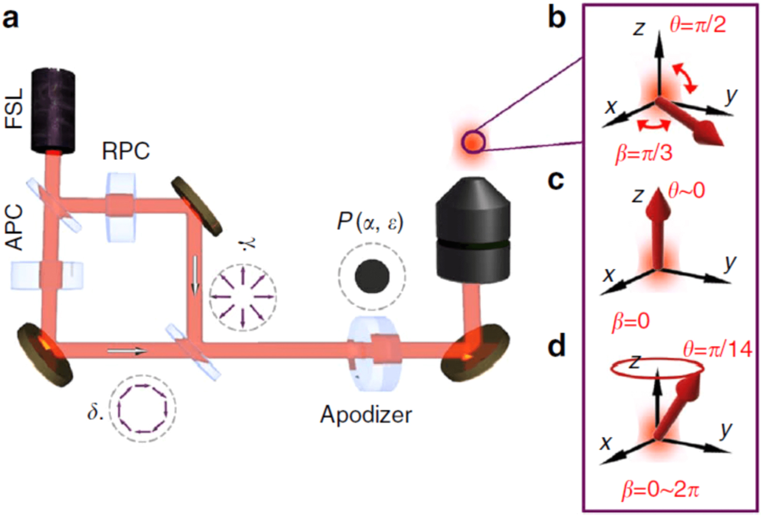 A review of complex vector light fields and their applications - IOPscience