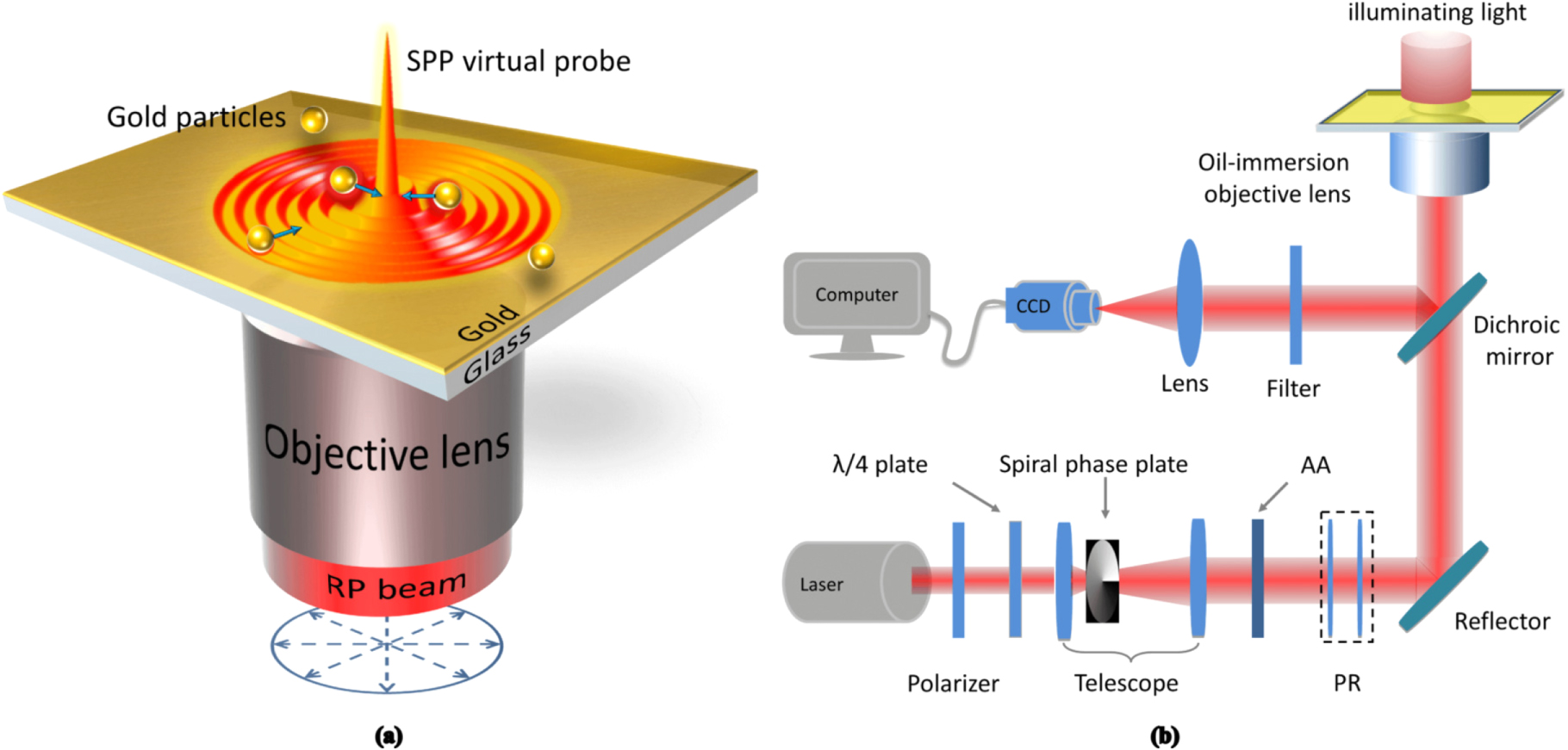 A review of complex vector light fields and their applications - IOPscience