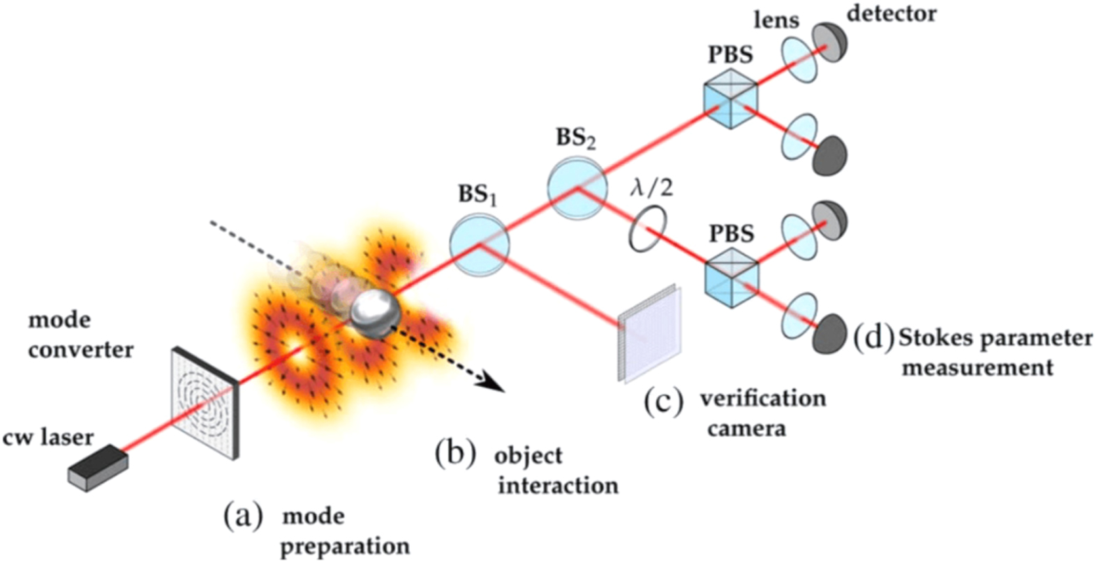 A review of complex vector light fields and their applications - IOPscience