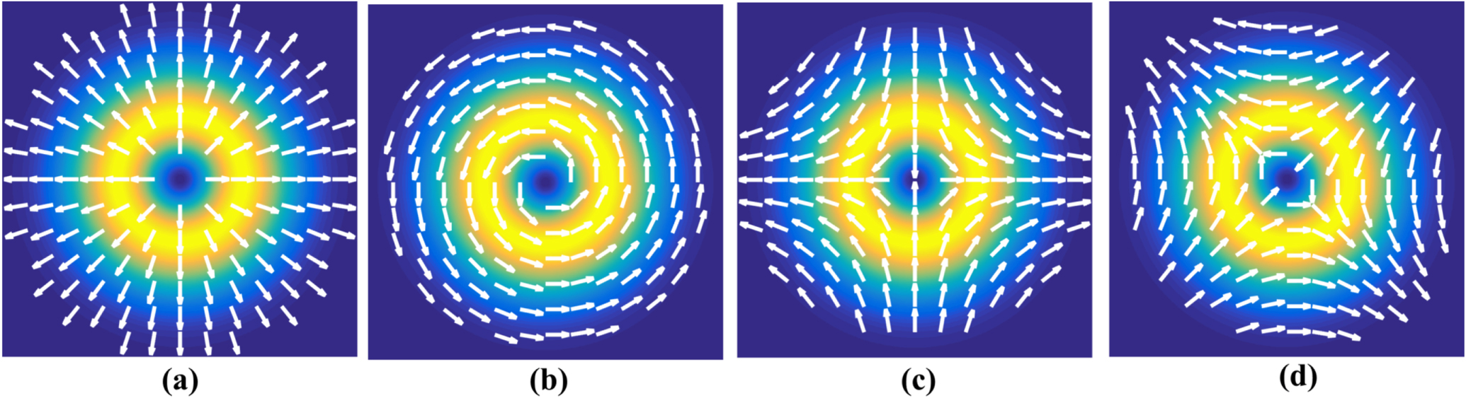 A review of complex vector light fields and their applications - IOPscience