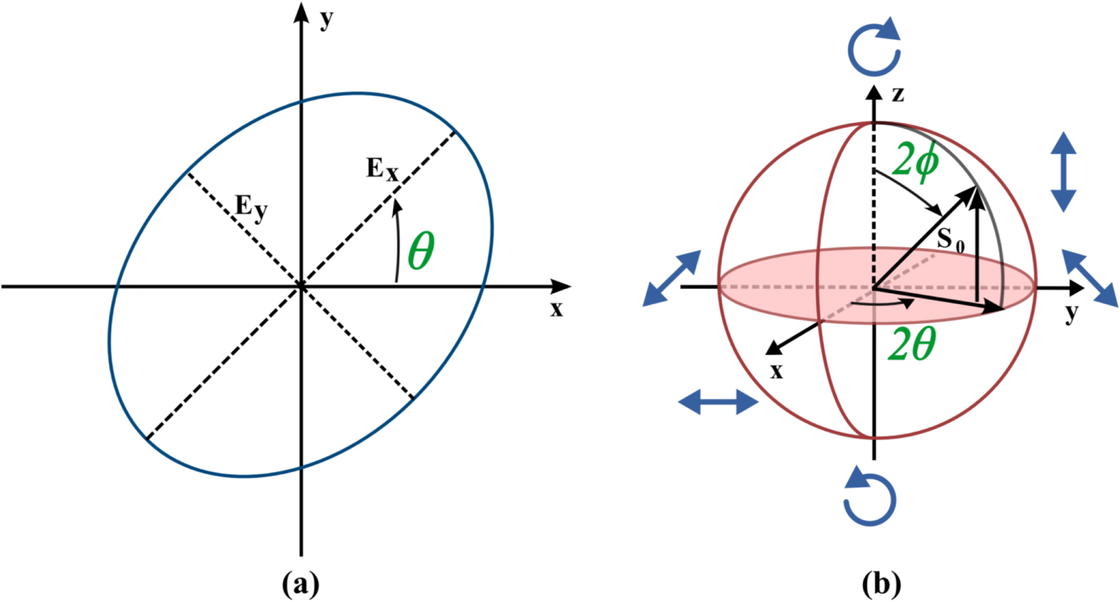 A review of complex vector light fields and their applications - IOPscience