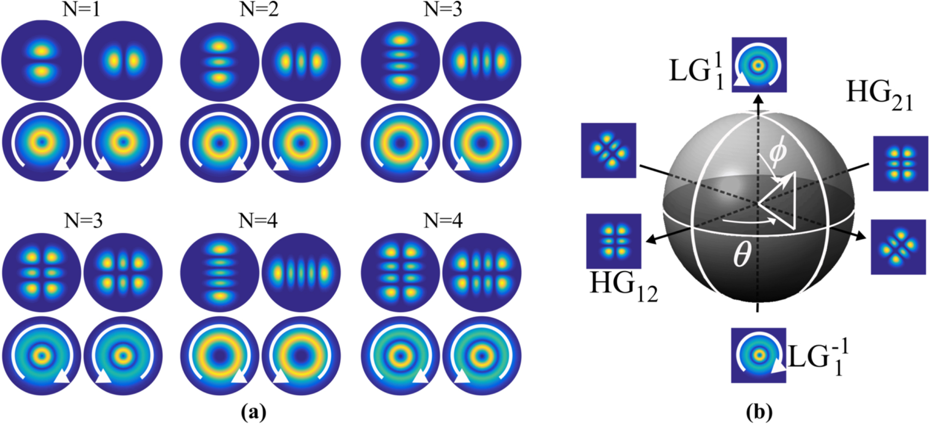 A review of complex vector light fields and their applications - IOPscience