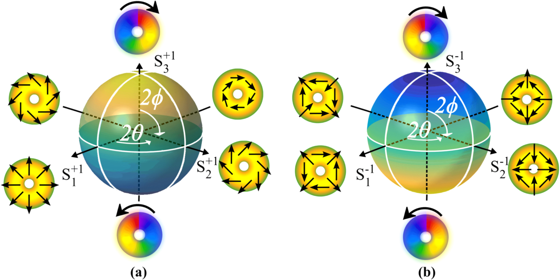 A review of complex vector light fields and their applications - IOPscience