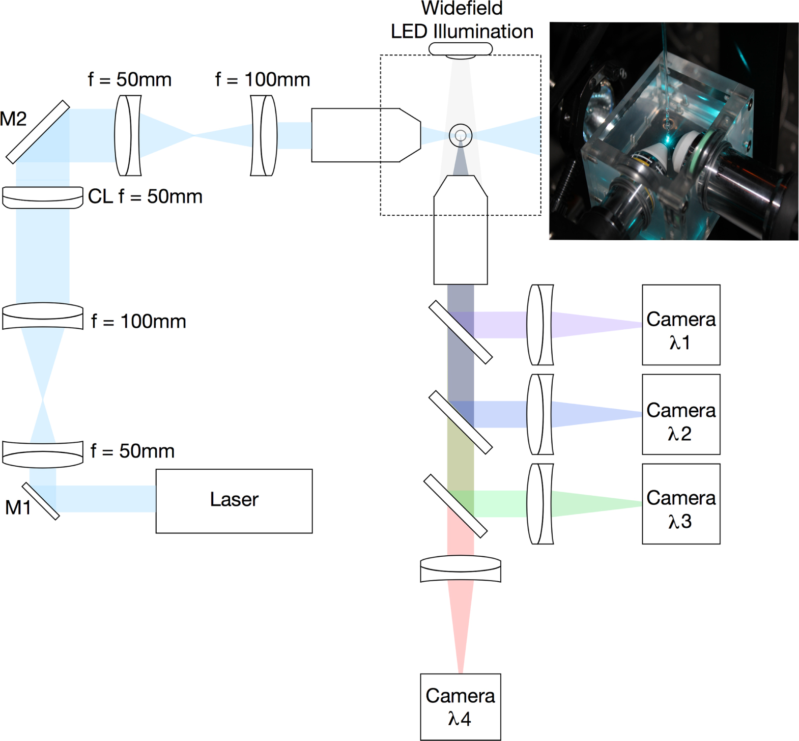 The light-sheet microscopy revolution - IOPscience
