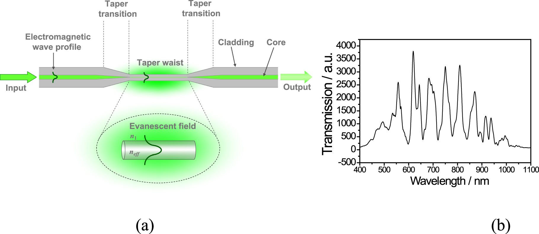 Biomedical application of optical fibre sensors - IOPscience