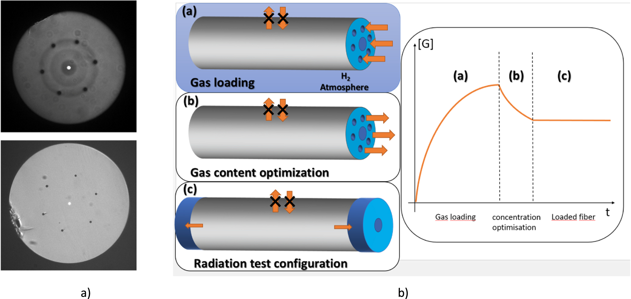 Recent advances in radiation-hardened fiber-based technologies for ...