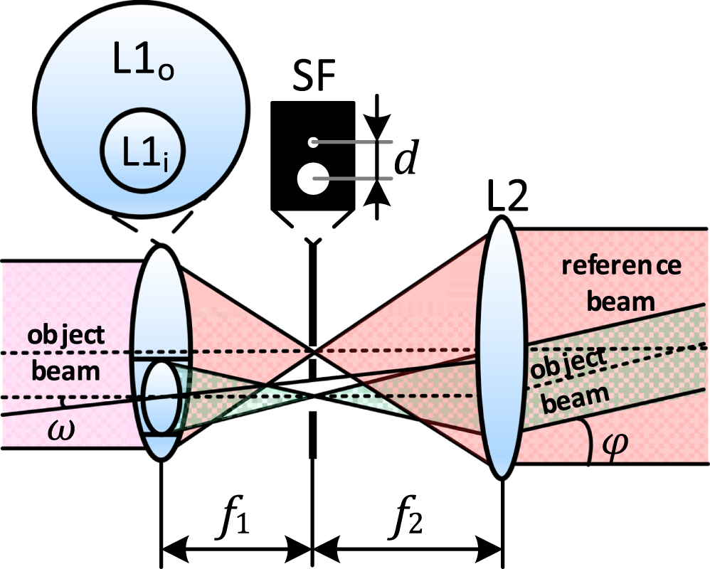 Lens-in-lens common-path interferometer for quantitative phase imaging ...