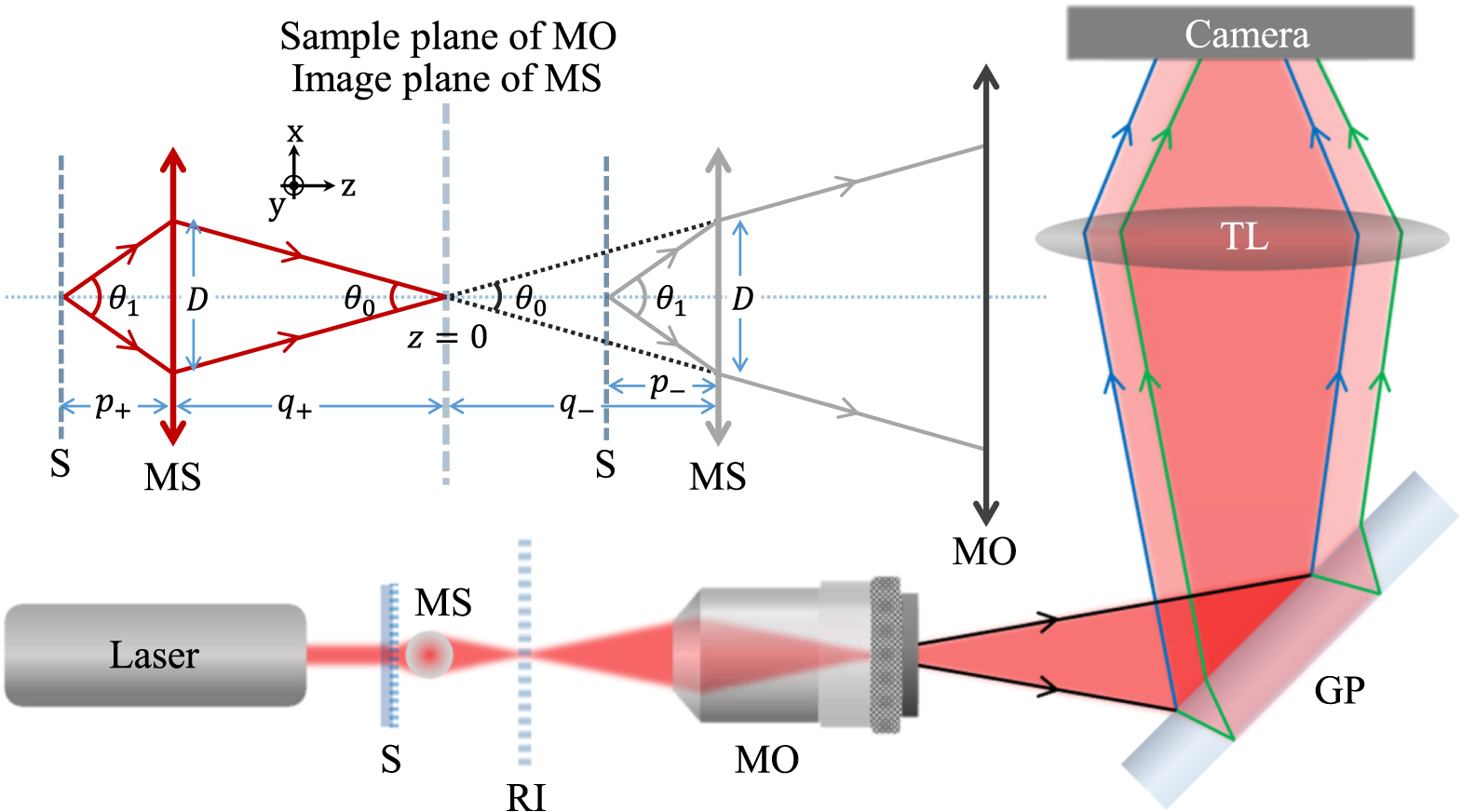 Microsphere-assisted self-referencing digital holographic microscopy in ...