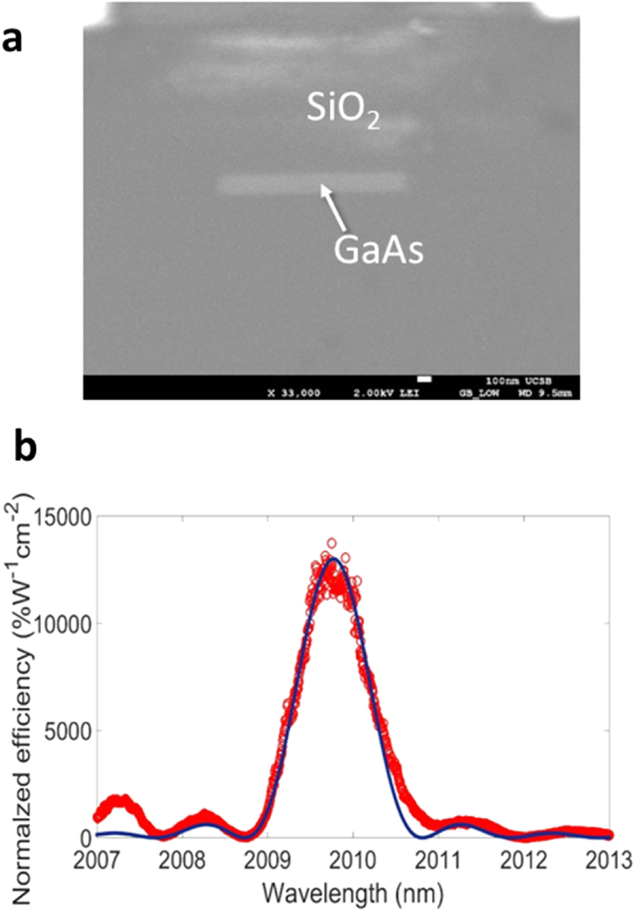 Roadmap on all-optical processing - IOPscience