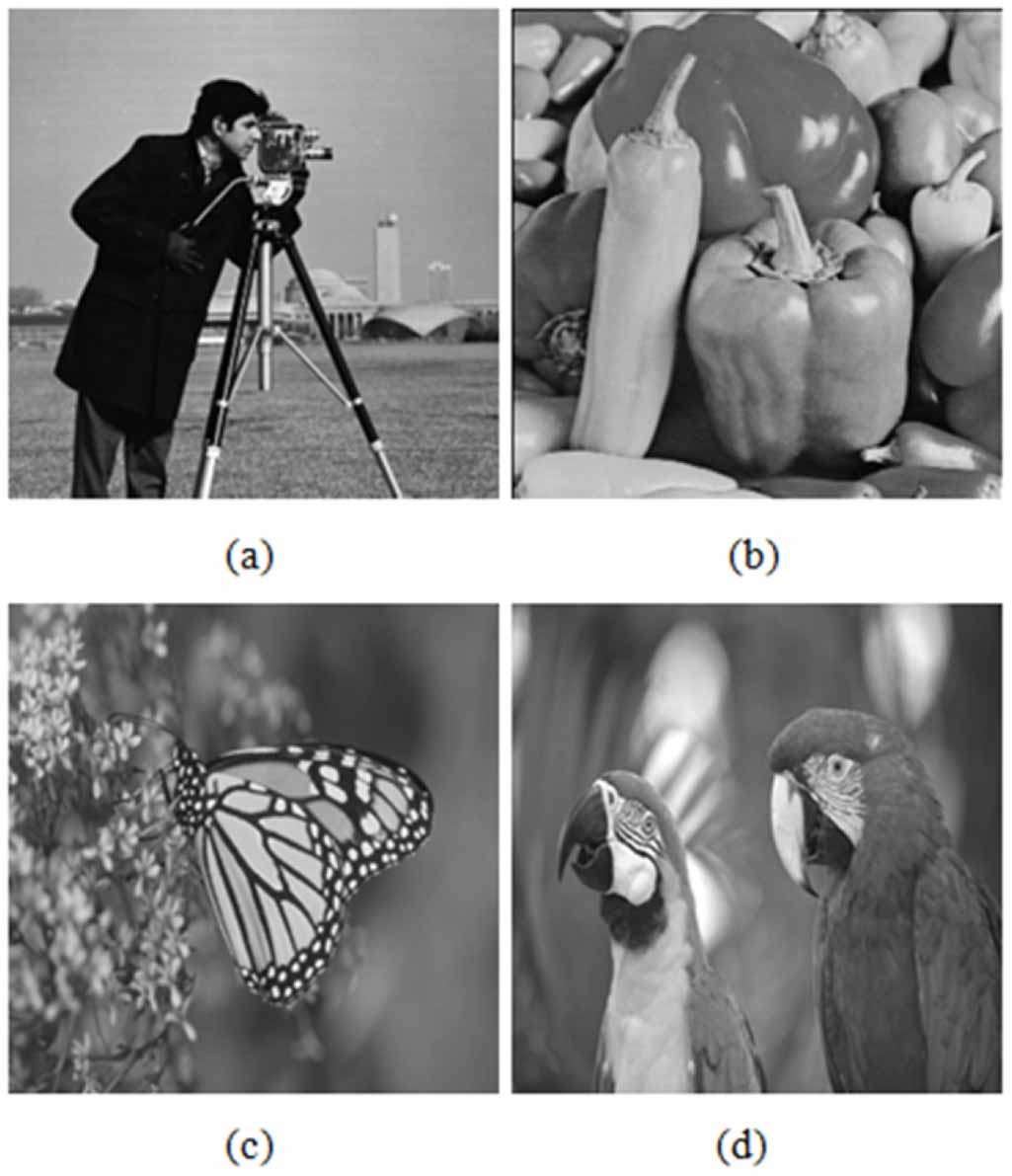 A review of single and multiple optical image encryption techniques ...