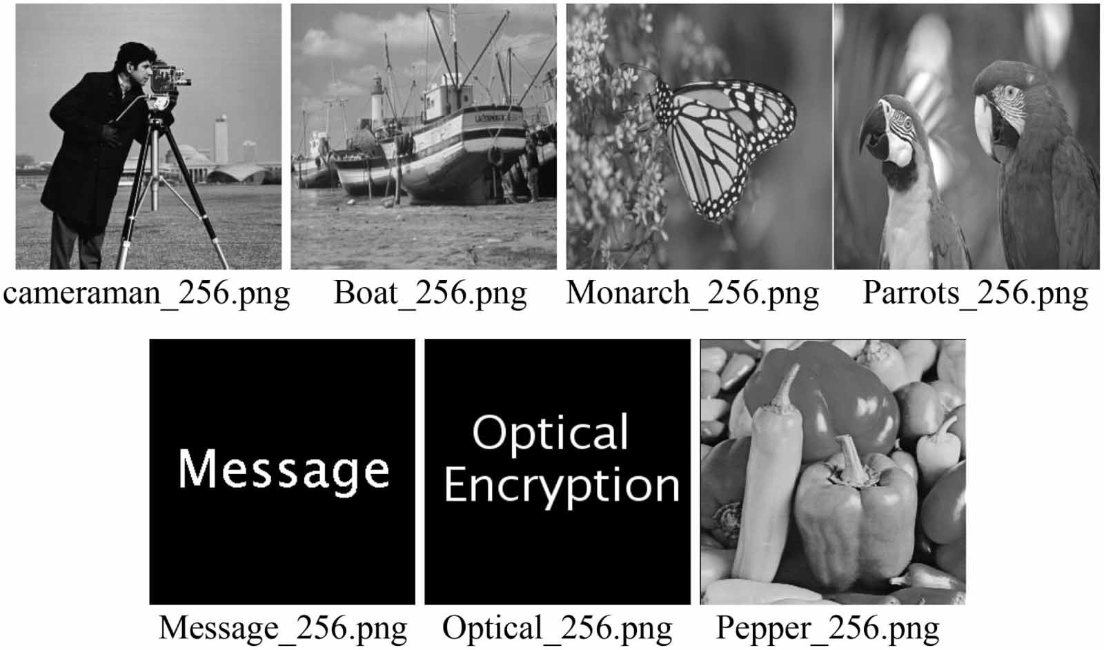 A review of single and multiple optical image encryption techniques ...