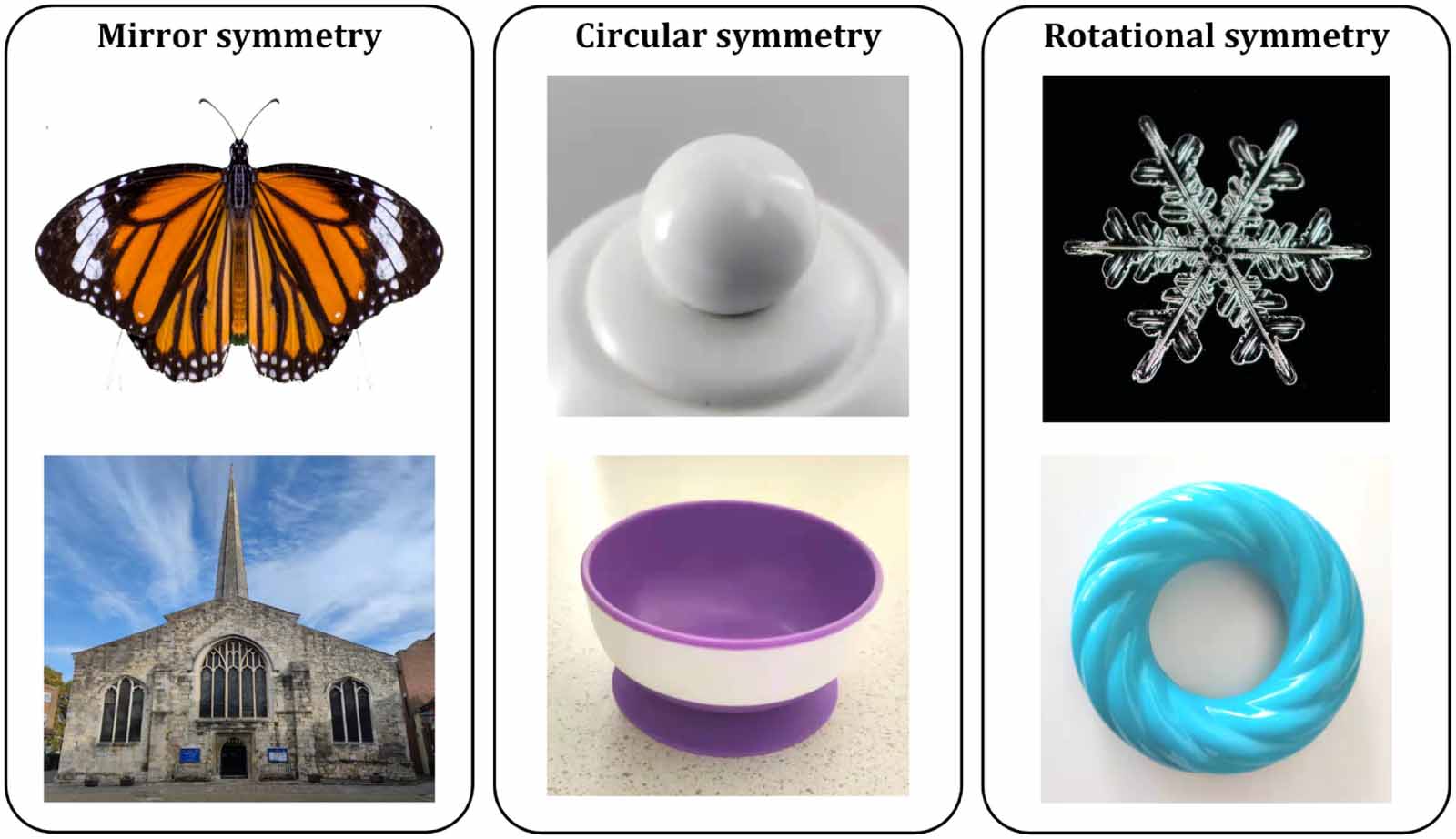Rays, waves, SU(2) symmetry and geometry: toolkits for structured light ...