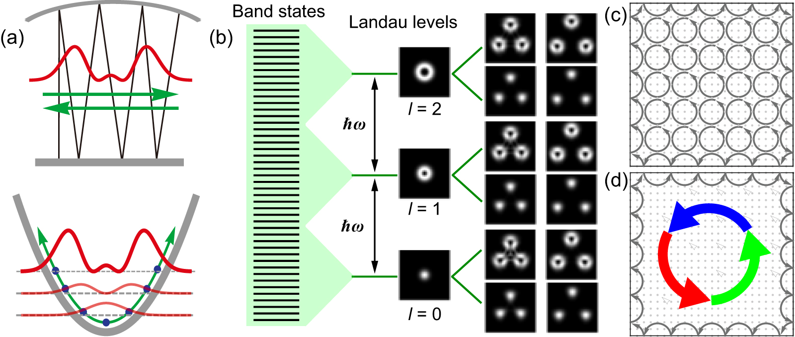 Rays, waves, SU(2) symmetry and geometry: toolkits for structured light ...