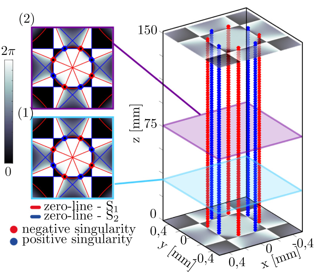 Self-imaging vectorial singularity networks in 3d structured light ...