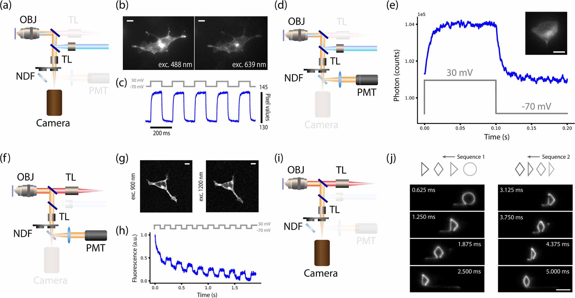 A compact microscope for voltage imaging - IOPscience