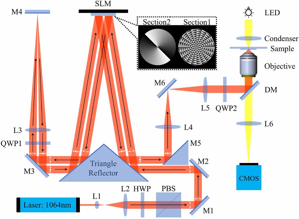 Rotating of metallic microparticles with an optimal radially polarized ...