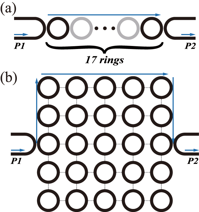 Optical delay lines in topological microring resonator array - IOPscience