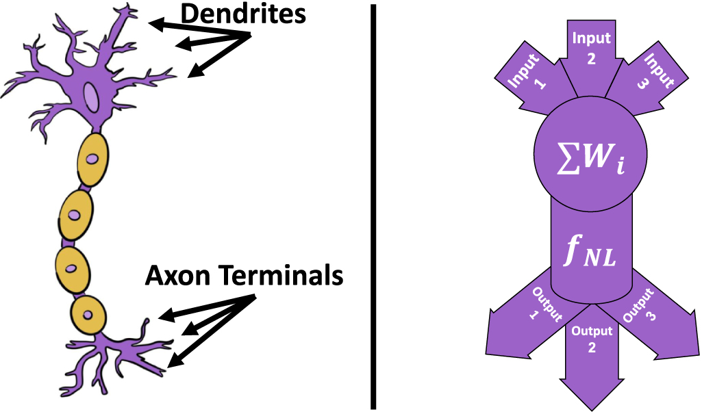 Deep learning in optics—a tutorial - IOPscience
