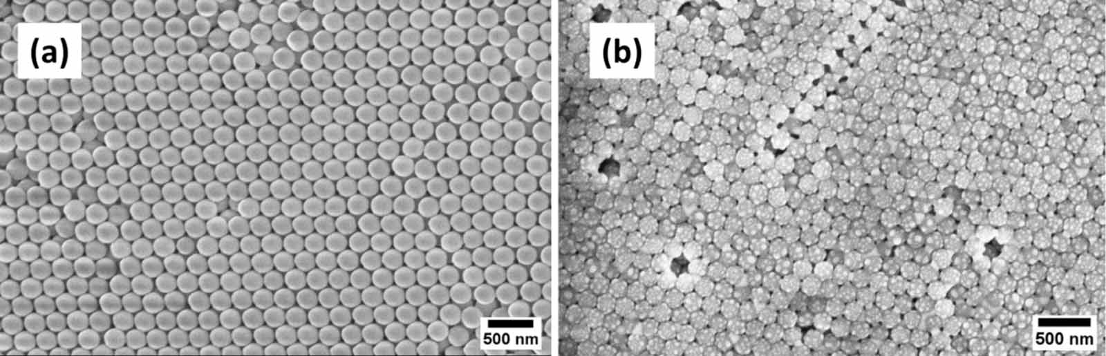 Spectral response of sulfonated polystyrene photonic crystals with ...