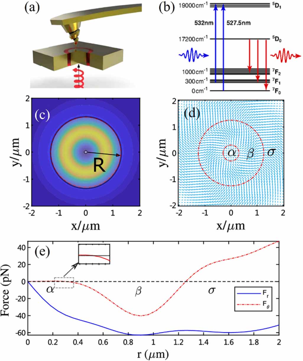 The trend of structured light-induced force microscopy: a review ...