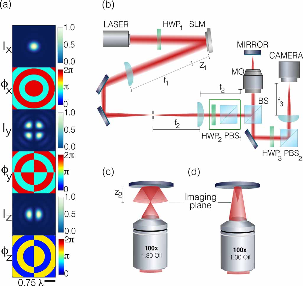 Measurement of structured tightly focused beams with classical interferometry - IOPscience