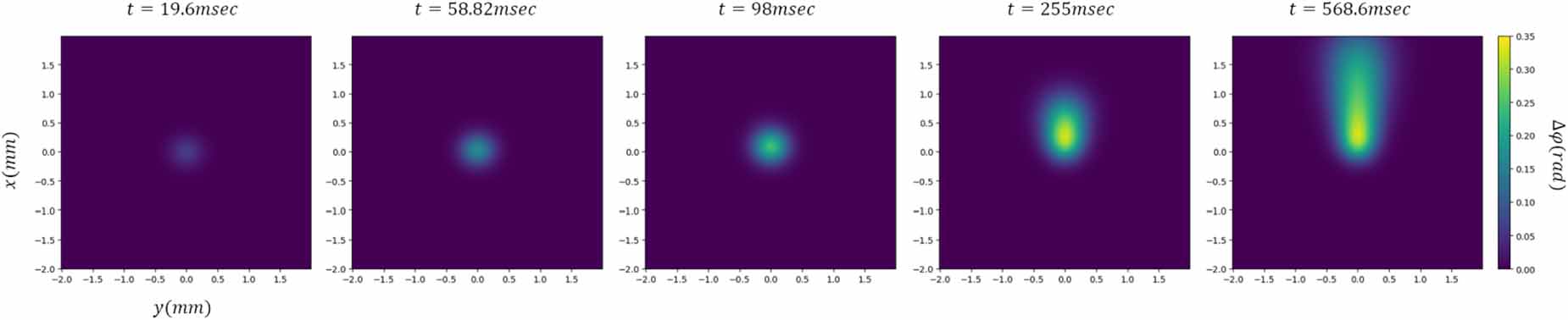Vortex phase deterioration common-path interferometry - IOPscience