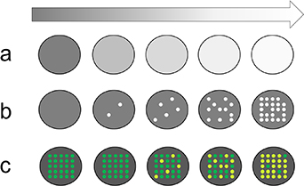 Roadmap on optical sensors - IOPscience