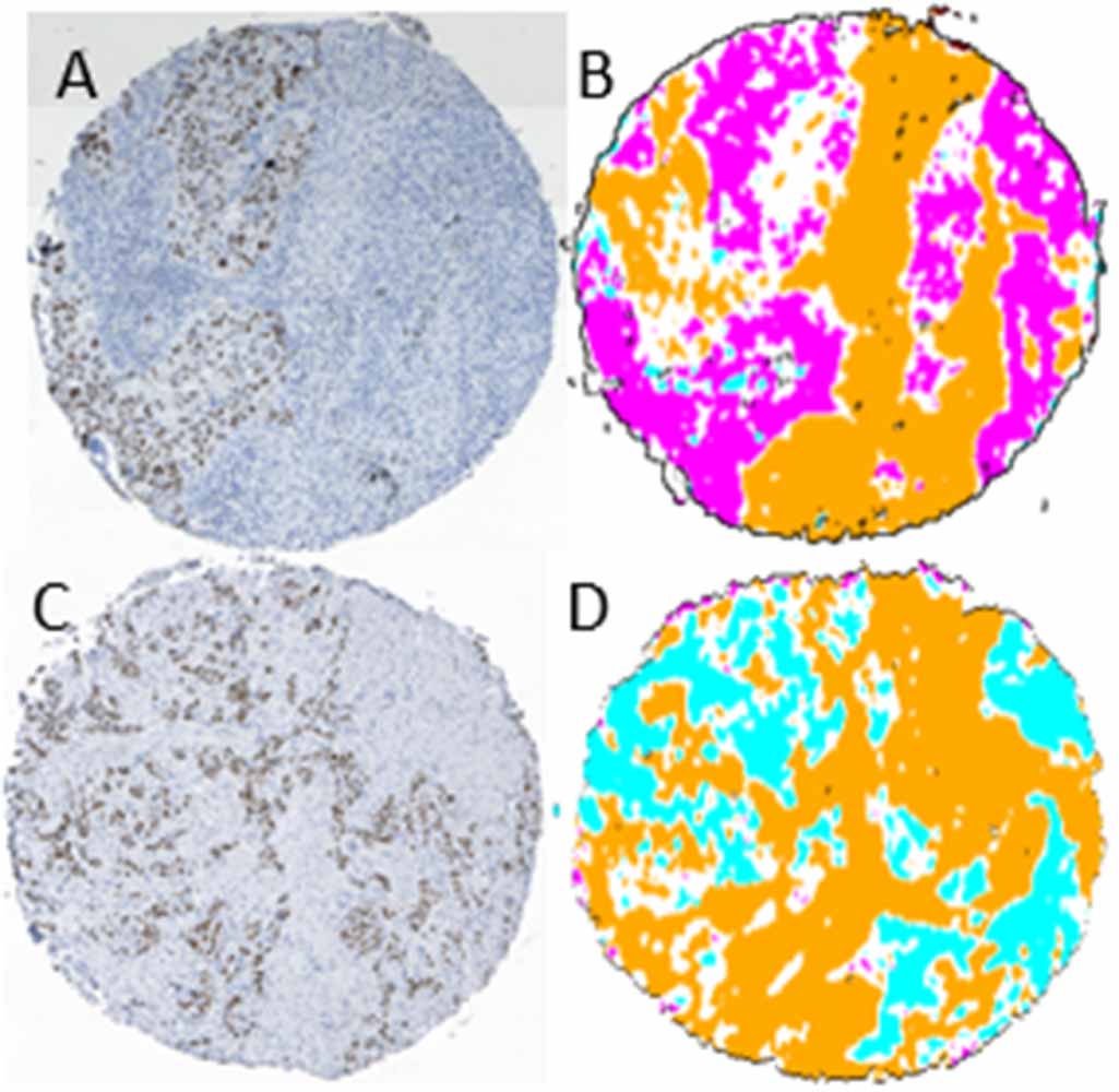Roadmap on optical sensors - IOPscience