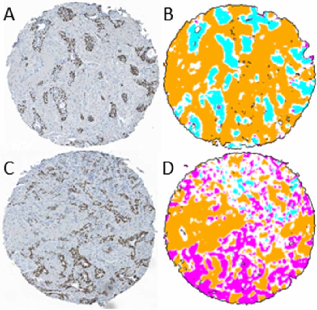 Roadmap on optical sensors - IOPscience
