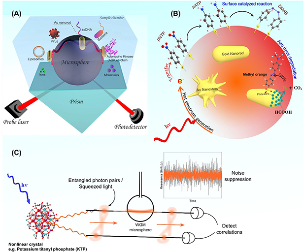 Roadmap on optical sensors - IOPscience