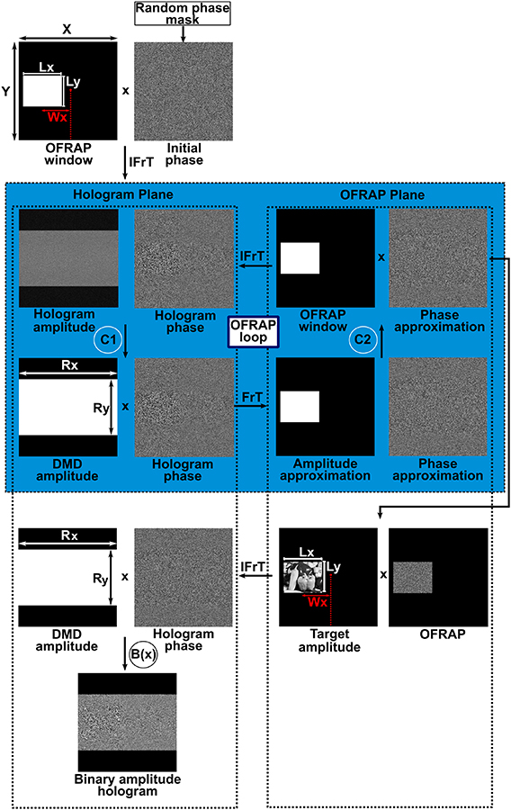 Non-iterative generation of binary amplitude holograms applied to holographic projection with ...