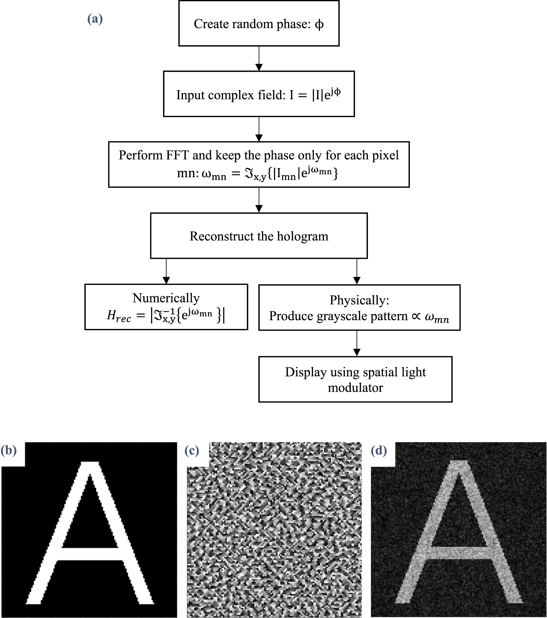 Watermarking algorithm based on phase-only CGH in fractional Hartley ...