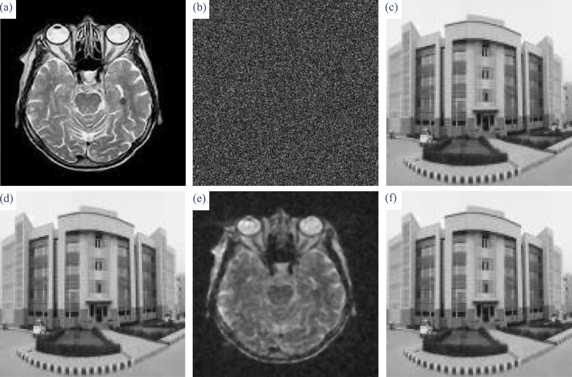 Watermarking algorithm based on phase-only CGH in fractional Hartley ...
