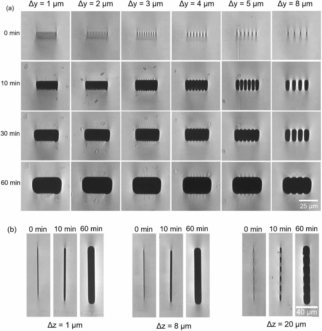 Study on fs-laser machining of optical waveguides and cavities in ULE ...
