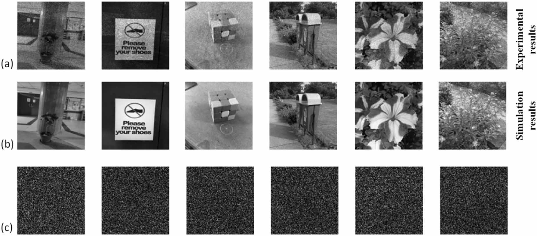 Asymmetric multi-image encoding and hiding scheme with structured fingerprint phase masks using ...