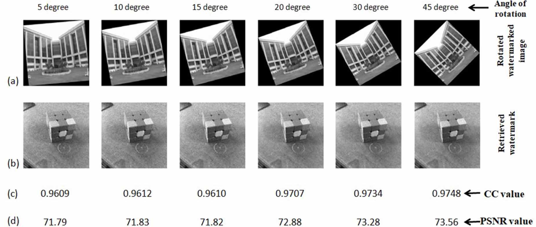 Asymmetric multi-image encoding and hiding scheme with structured fingerprint phase masks using ...