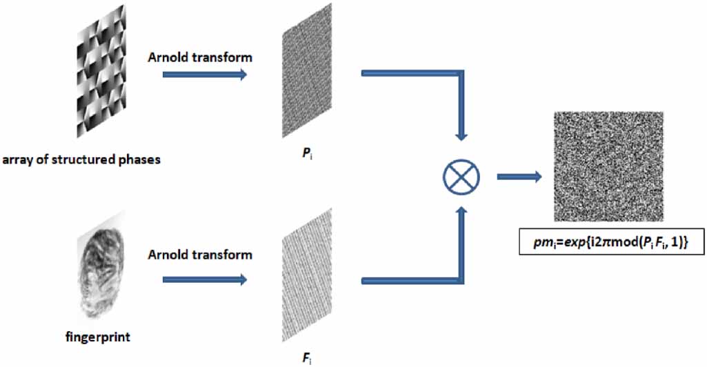 Asymmetric Multi Image Encoding And Hiding Scheme With Structured