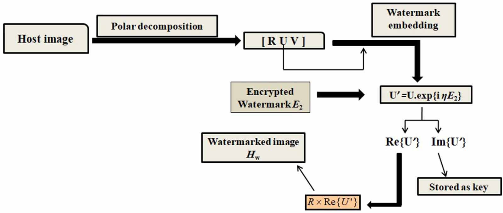 Asymmetric Multi Image Encoding And Hiding Scheme With Structured